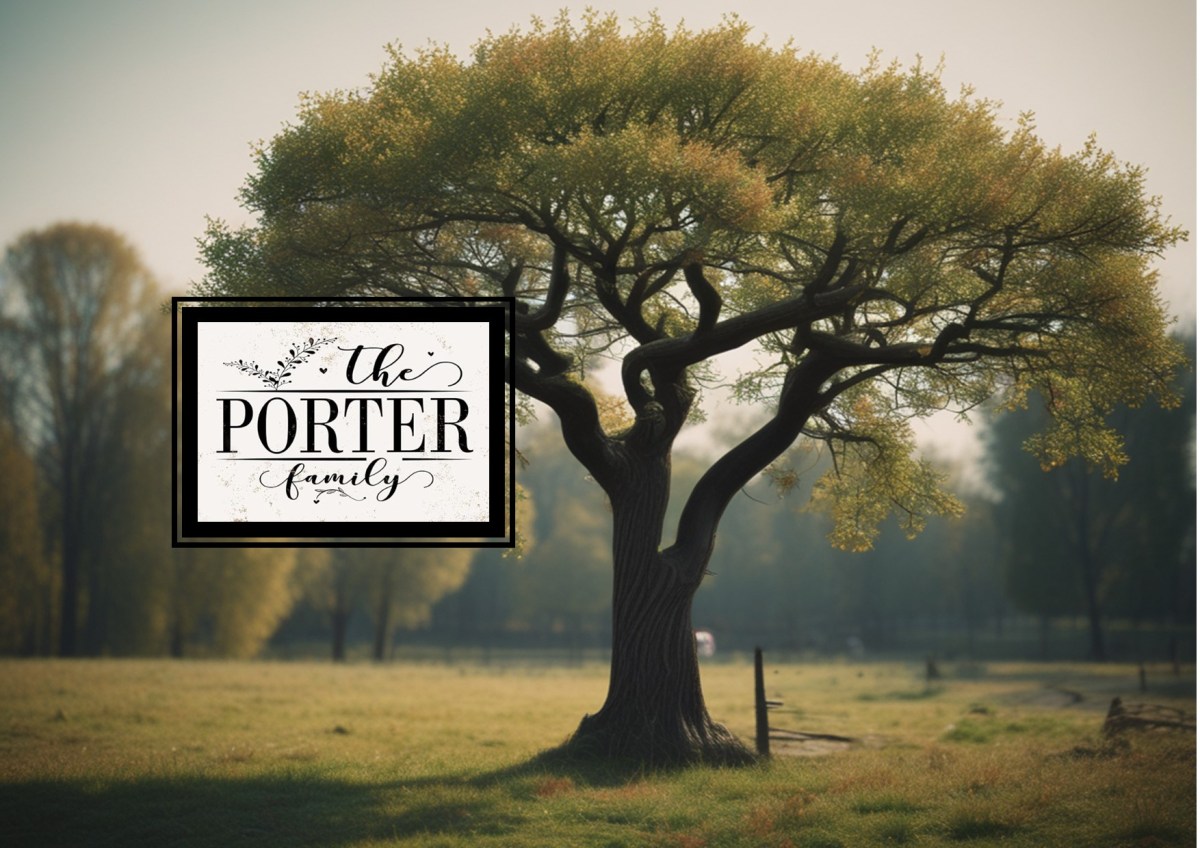 Discoveries from the Porter Family Tree – JOHN'S FAMILY HISTORY